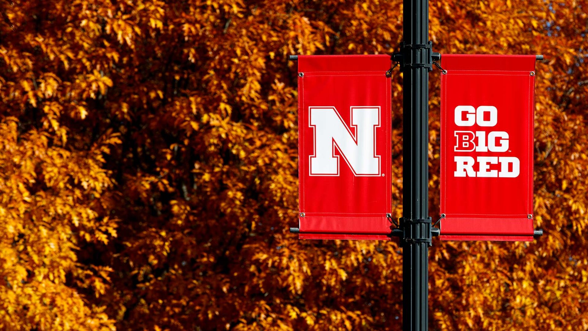 Big Red Business Center | Nebraska